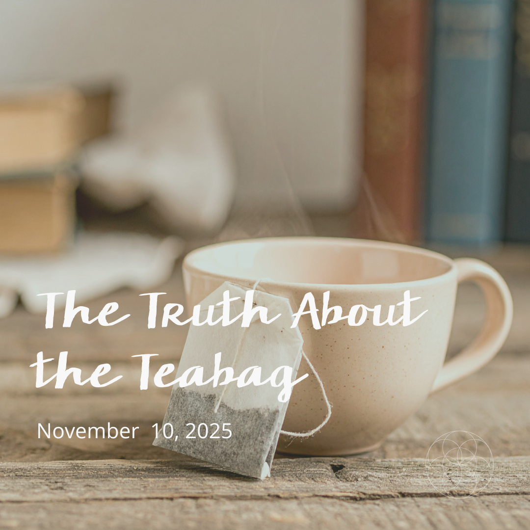 The Truth About the Teabag | Wild Seeds Journal